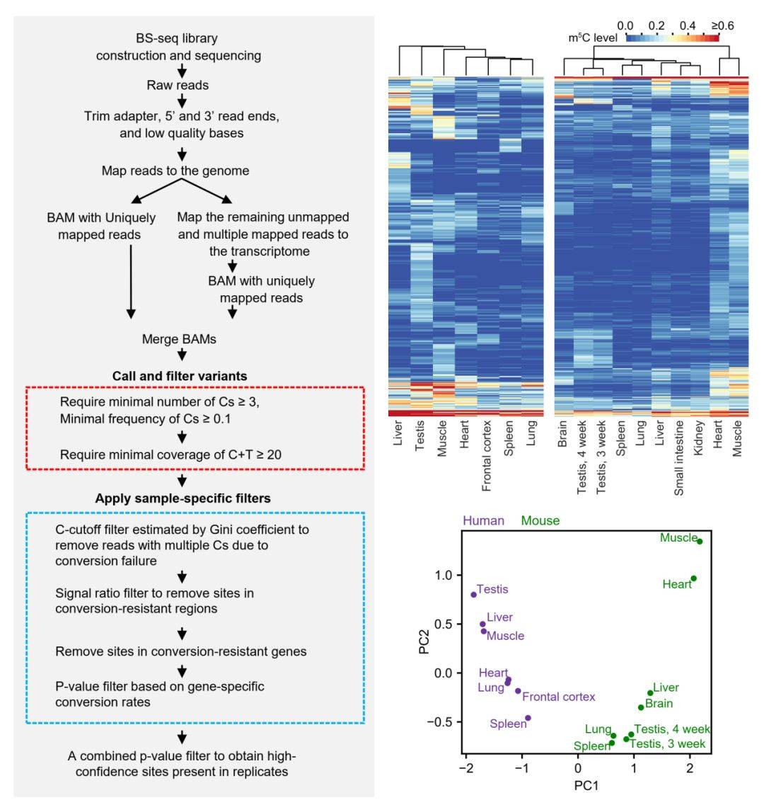 中山大学张锐组揭示mRNA m5C的序列结构特征和动态变化规律 学术资讯 - 科技工作者之家