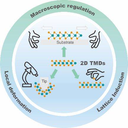 浅说：二维TMDs应力工程 学术资讯 - 科技工作者之家