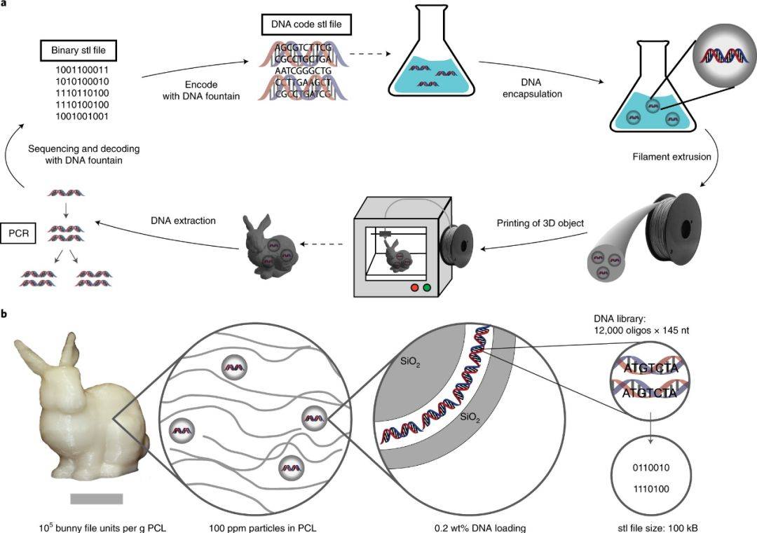 Nature Biotechnology：基于DNA的新型储存材料 学术资讯 - 科技工作者之家