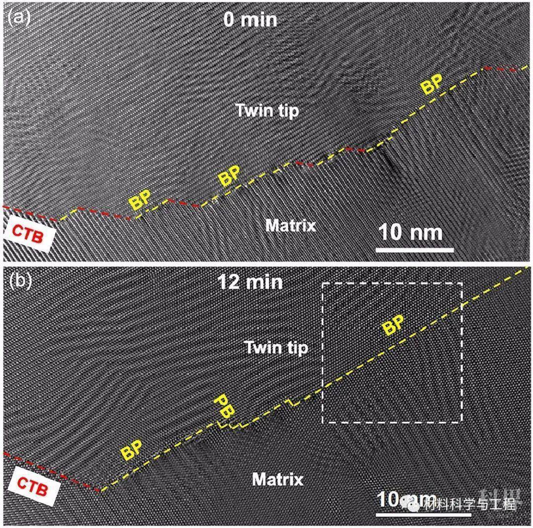 《Acta Mater》镁合金孪晶领域获重要进展！ 学术资讯 - 科技工作者之家
