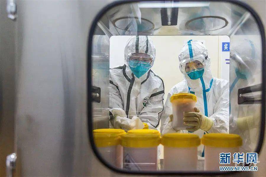 P3、P2实验室成标配，两者有何不同？怎么布局？解读来了