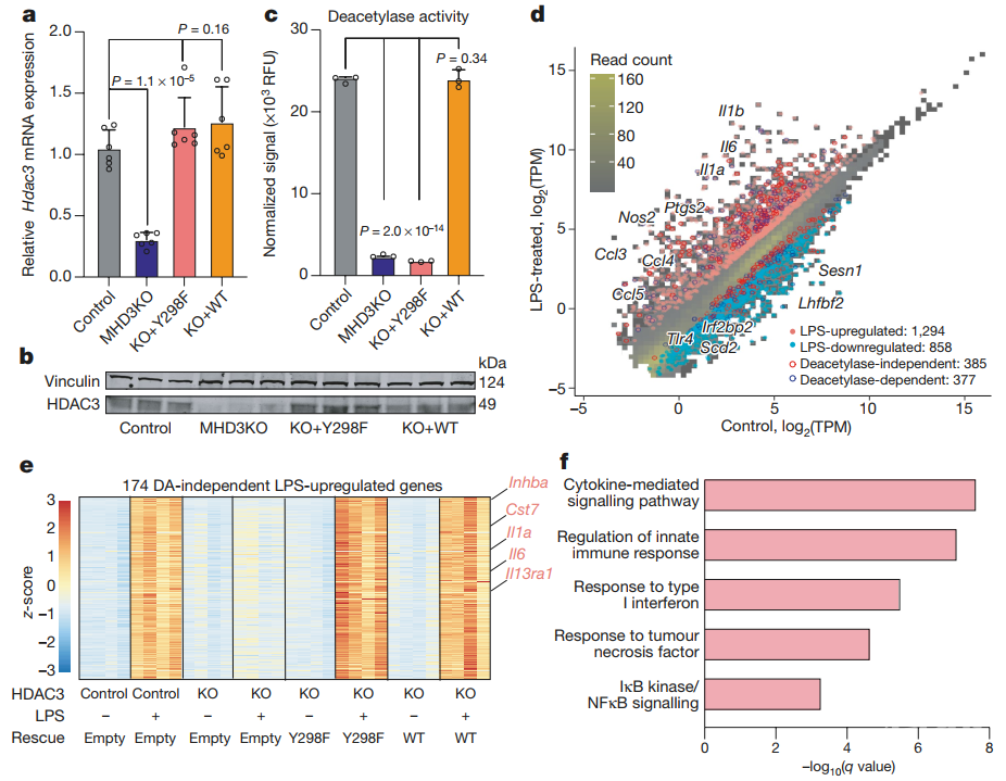 HDAC3的两面性——炎症反应中HDAC3调控基因表达的新机制 学术资讯 - 科技工作者之家