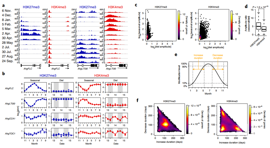 拟南芥全基因组水平CHIP-seq分析揭示H3K27me3水平随四季变化 学术资讯 - 科技工作者之家