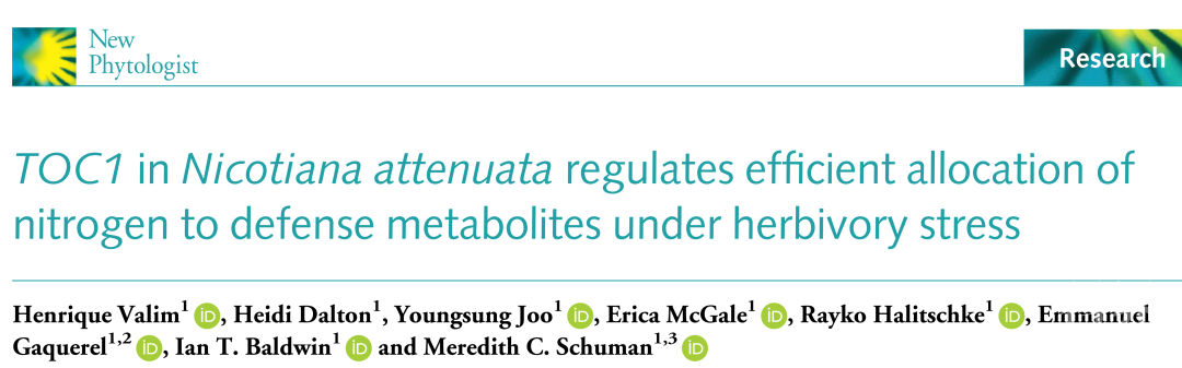 核心生物钟组件TOC1调控植物对草食动物的防御机制