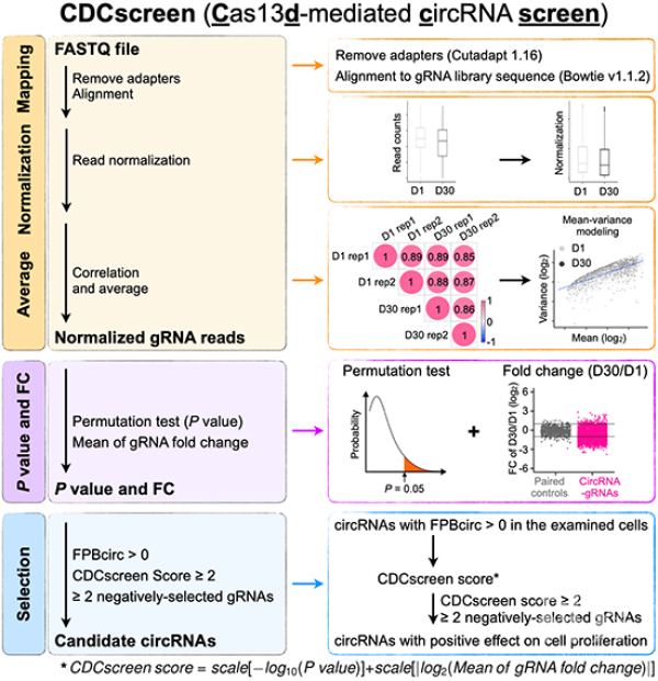 CRISPR-Cas13 系统相关资讯 - 科技工作者之家