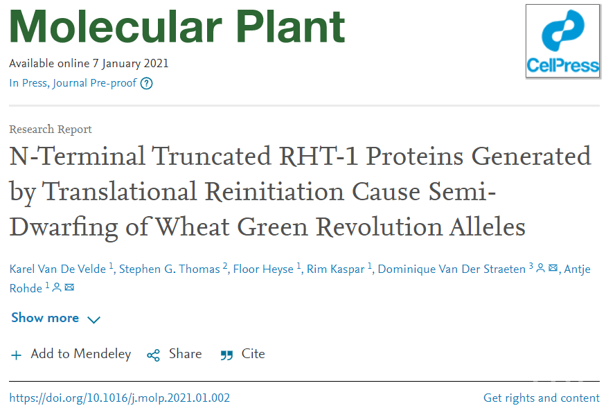 Mol Plant 小麦“绿色革命”基因Rht-1导致植株半矮化的分子机制 学术资讯 - 科技工作者之家