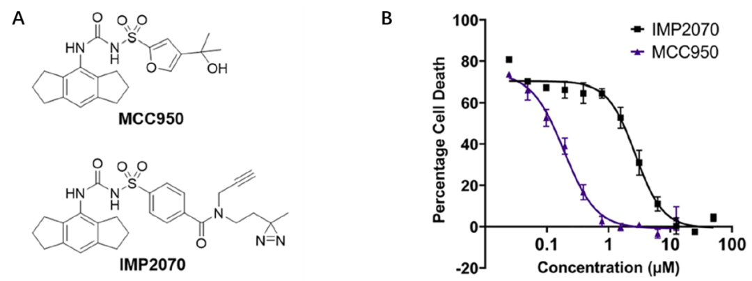 化学蛋白质组学实现炎症抑制剂MCC950脱靶效应鉴定 学术资讯 - 科技工作者之家