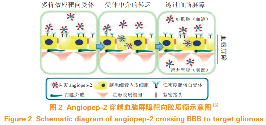 Angiopep-2 用于脑靶向递药系统的研究进展 学术资讯 - 科技工作者之家