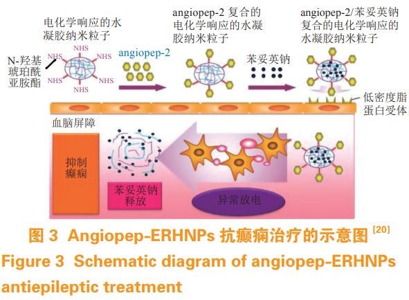 Angiopep-2 用于脑靶向递药系统的研究进展 学术资讯 - 科技工作者之家